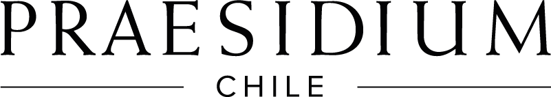 Ayudando a las organizaciones a prevenir el abuso - Praesidium Chile